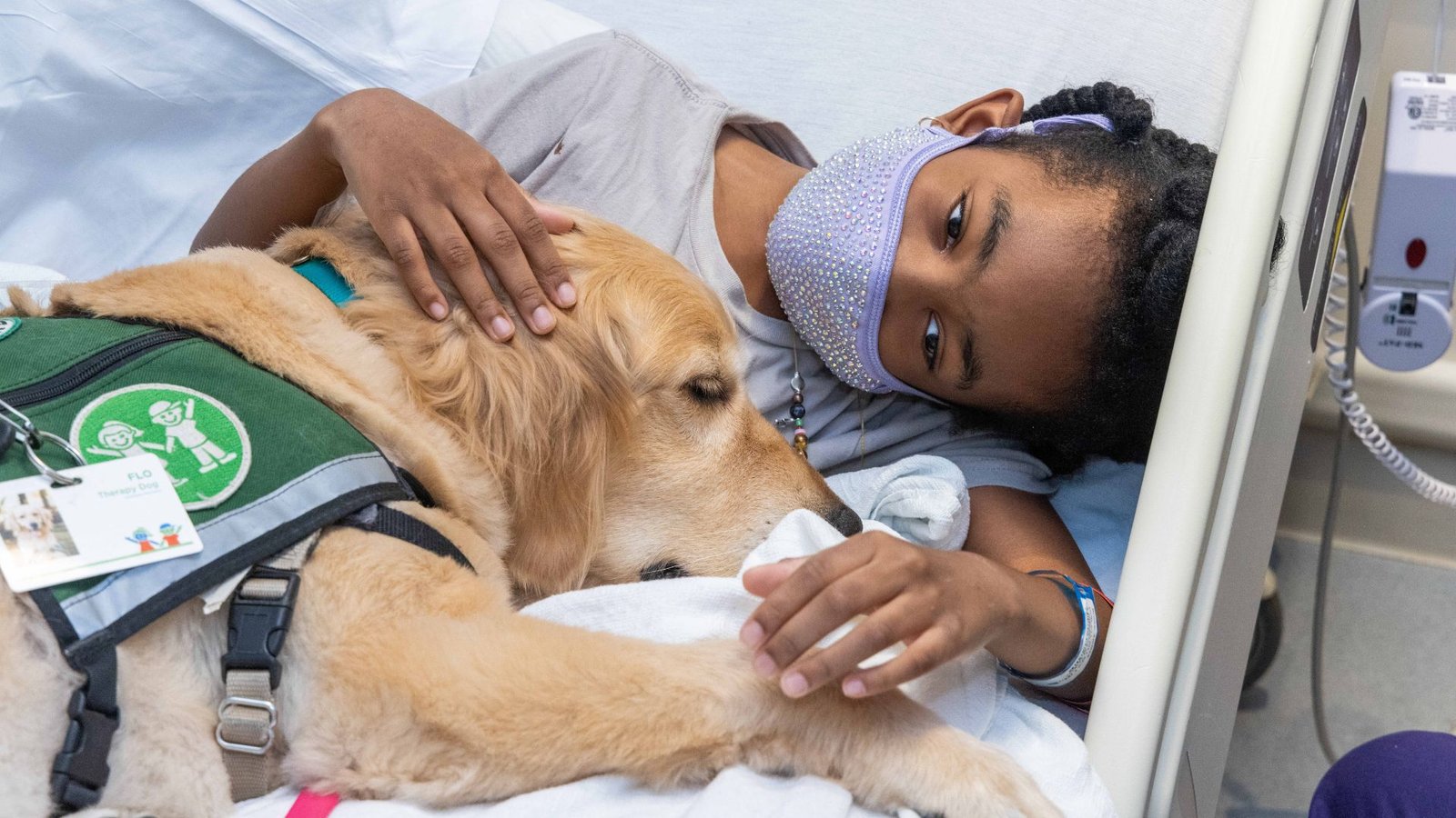 The History of Therapy Dogs in Healthcare